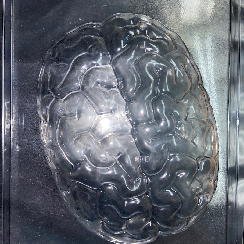 Brain Candy Mold - Etsy