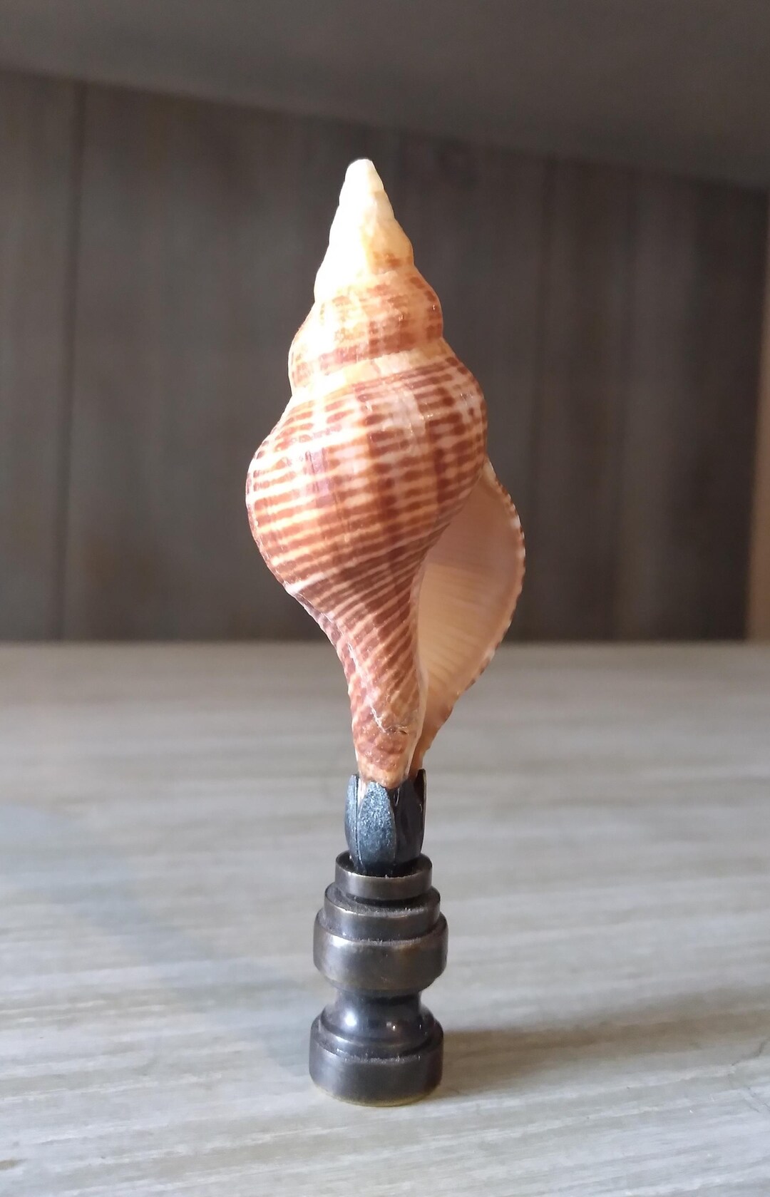 Nautical Sea Shell Lamp Shade Finial - Etsy
