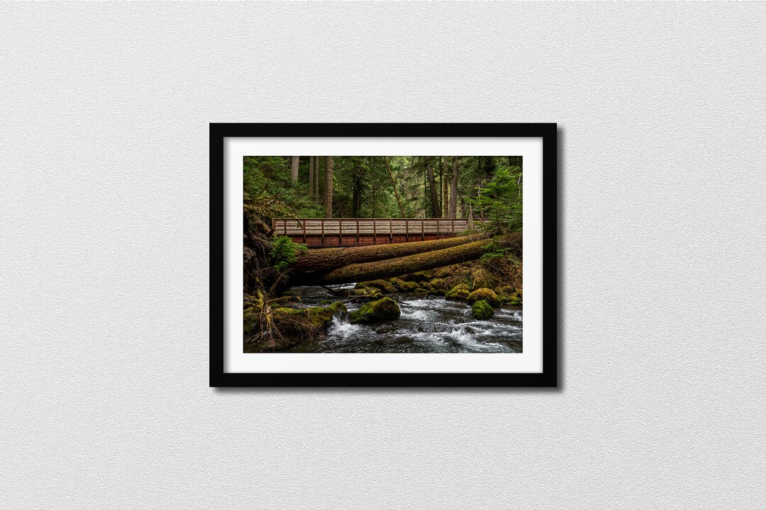 Notch Pass Trail (photo Print) - Etsy