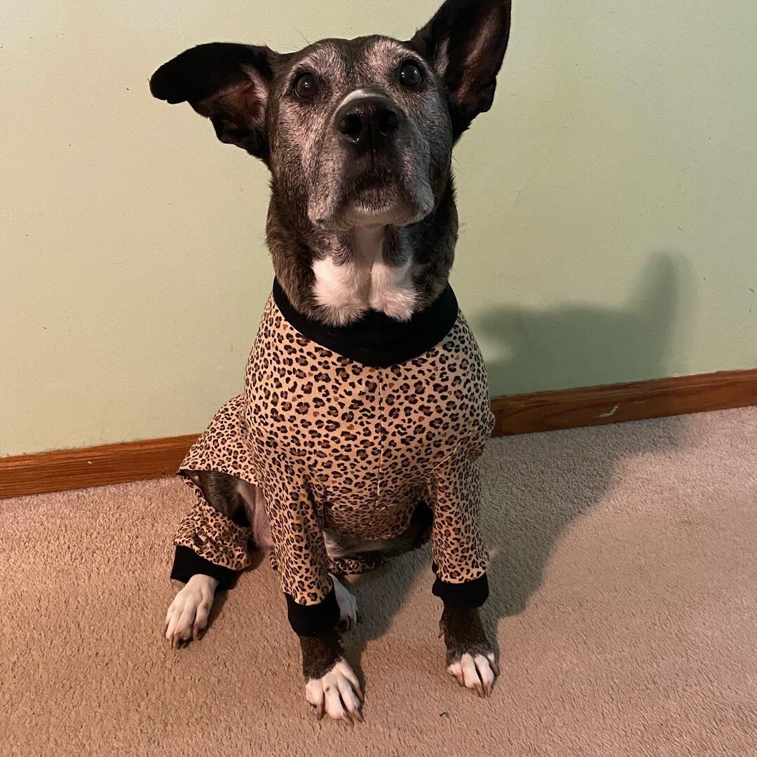 Cheetah Print Dog Pajamas - Etsy