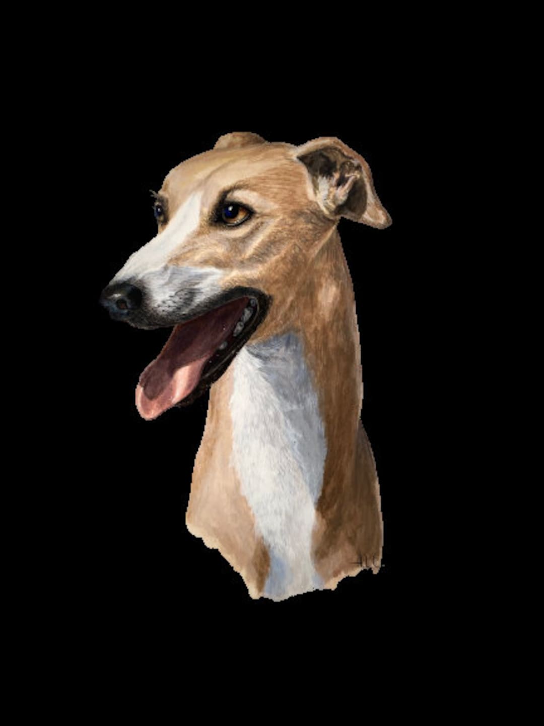 Greyhound PNG File - Digital Download - Sublimation Image- Dog Clipart ...