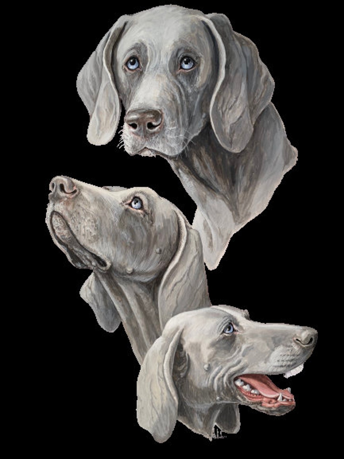 Weimaraner PNG File - Digital Download - Sublimation Image- Dog Clipart ...