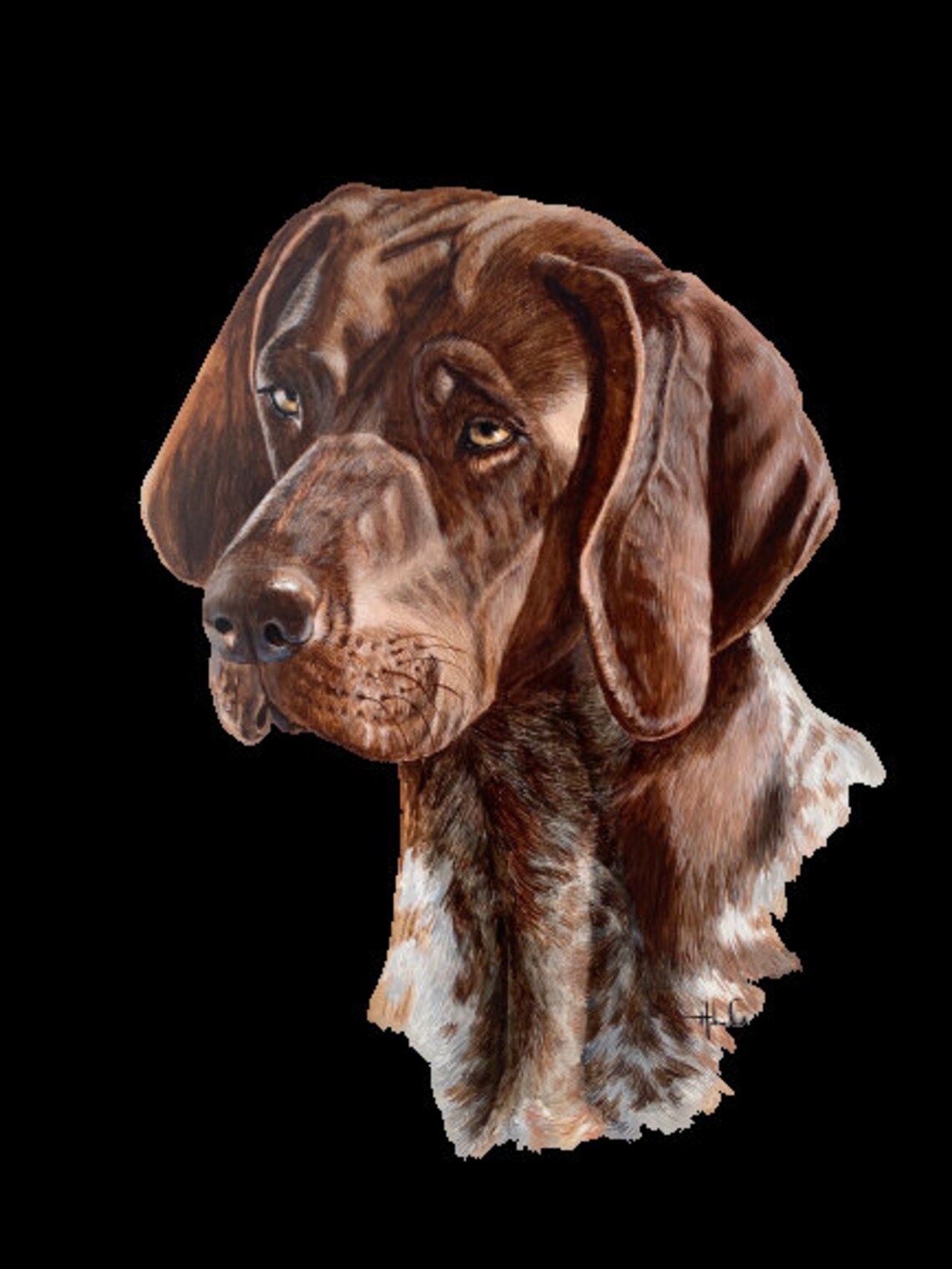 German Short Haired Pointer PNG File Digital Download - Etsy