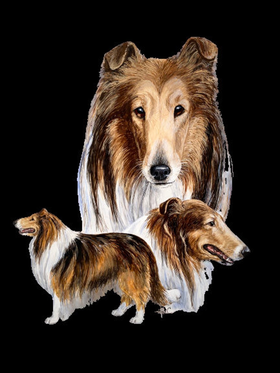 Rough Collie Lassie Dog PNG File - Digital Download - Sublimation Image ...