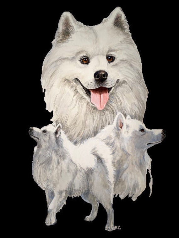 Samoyed PNG File Digital Download Sublimation Image Dog | Etsy