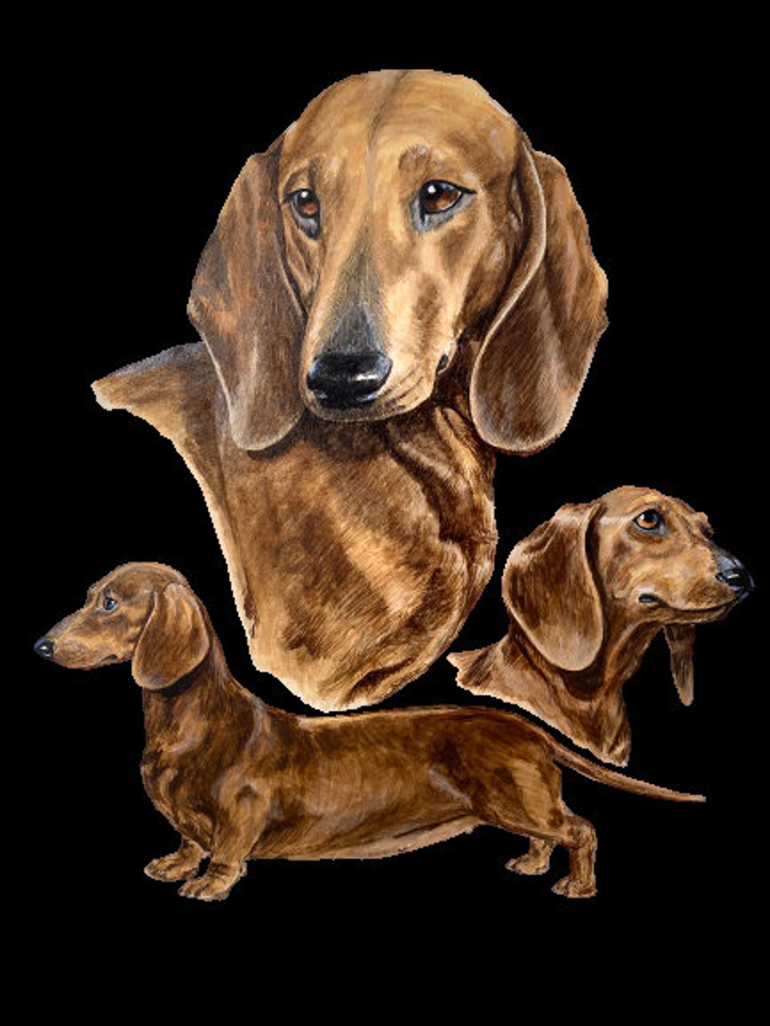 21 Small Breed Dog PNG Files - PNG File - Digital Download ...