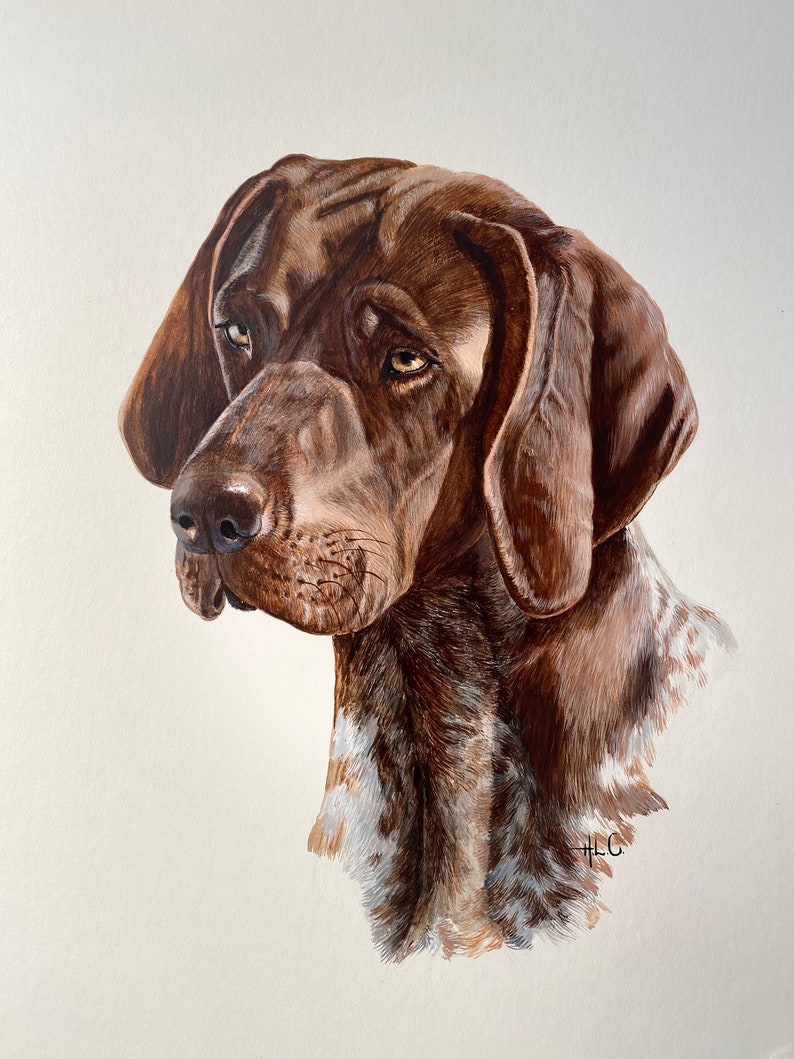 German Short Haired Pointer PNG File Digital Download - Etsy