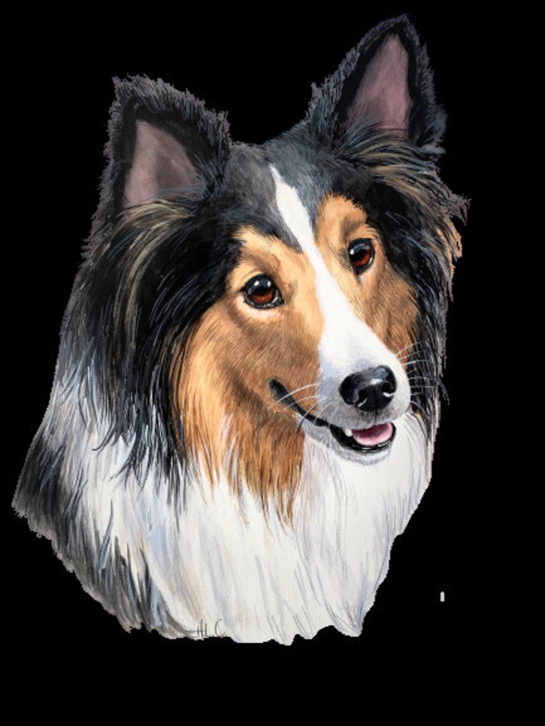 Shetland Sheepdog PNG File - Digital Download - Sublimation Image- Dog ...