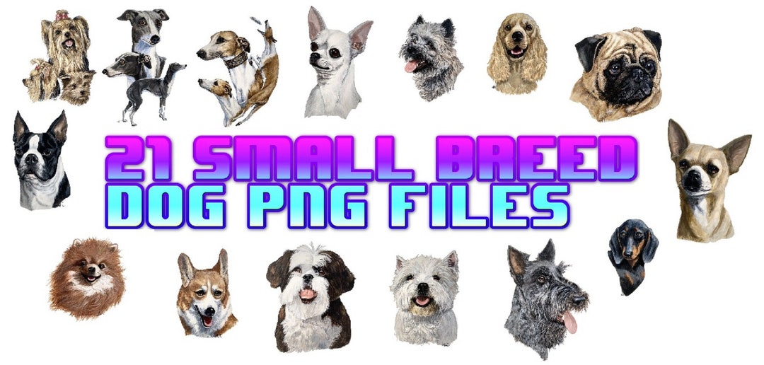 21 Small Breed Dog PNG Files - PNG File - Digital Download ...