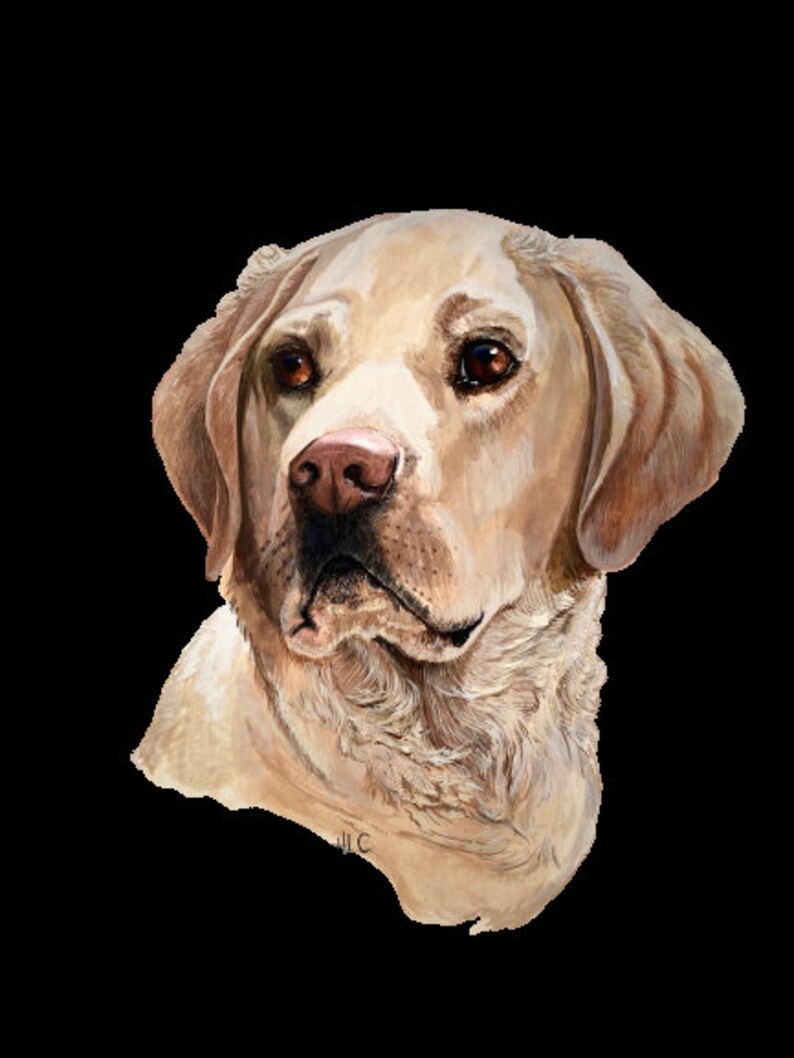 21 Large Breed Dog PNG Files PNG File Digital Download | Etsy