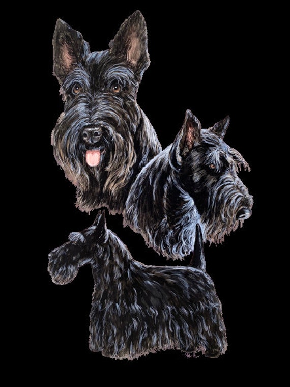 Scottish Terrier Scottie Dog PNG File Digital Download - Etsy