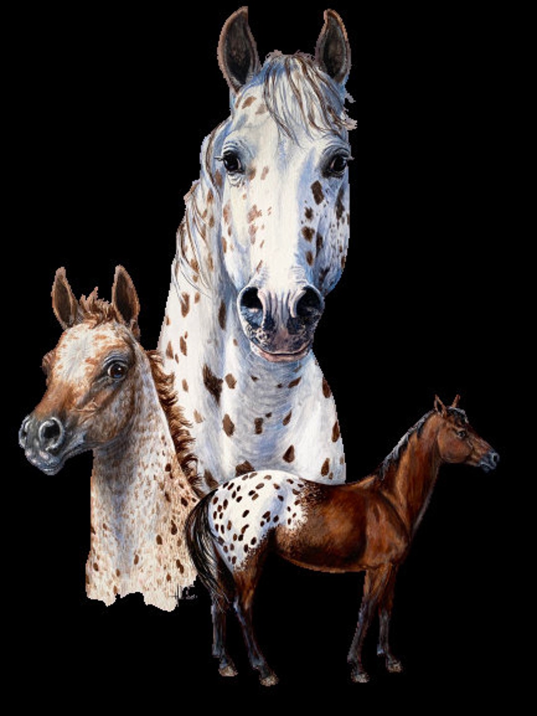 Appaloosa Horse - PNG File - Digital Download - Sublimation Image ...