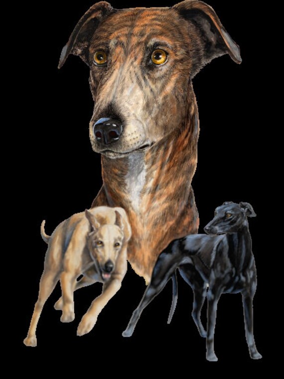 Greyhound PNG File Digital Download Sublimation Image Dog | Etsy