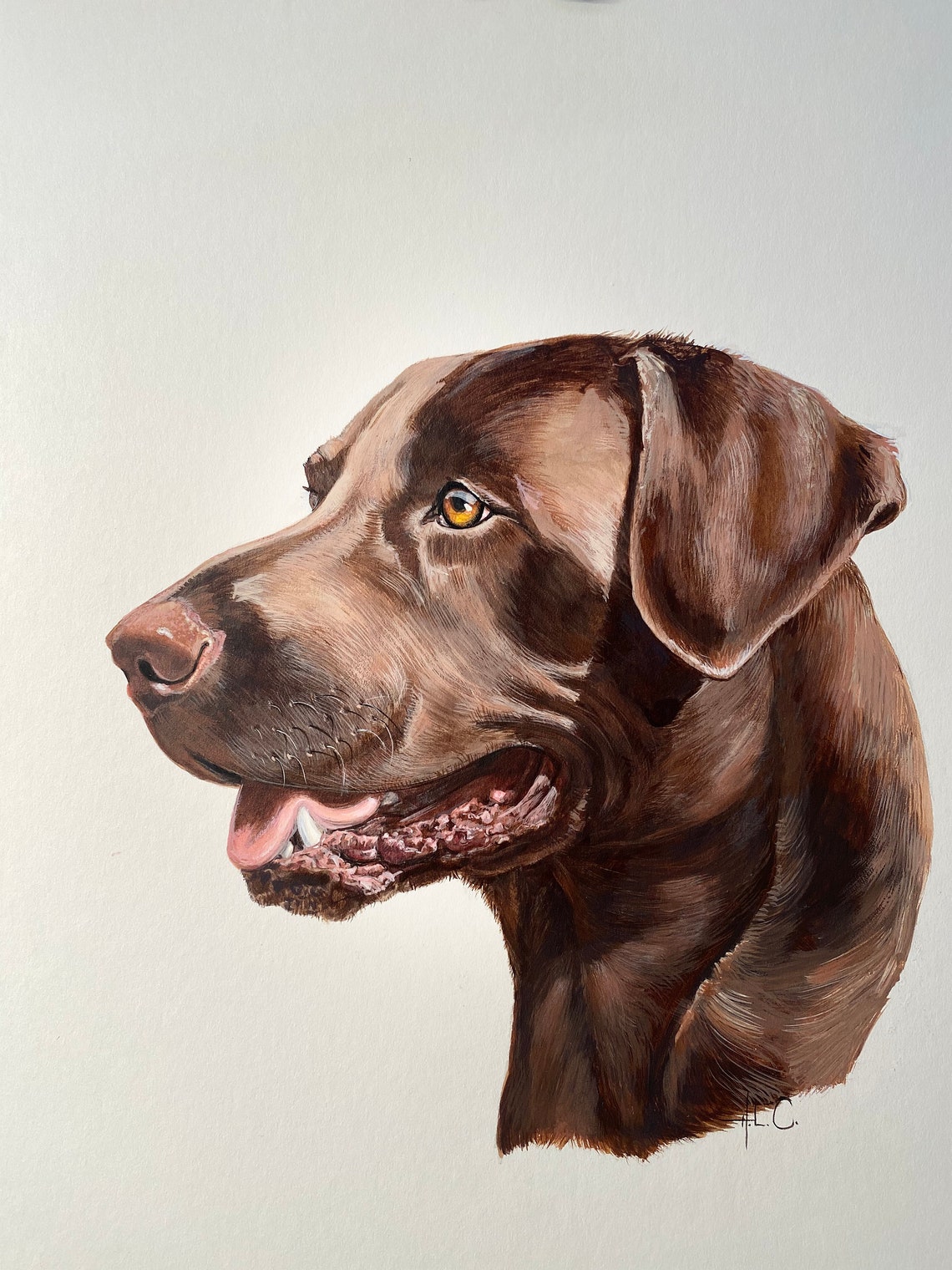 Chocolate Labrador PNG File Digital Download Sublimation | Etsy