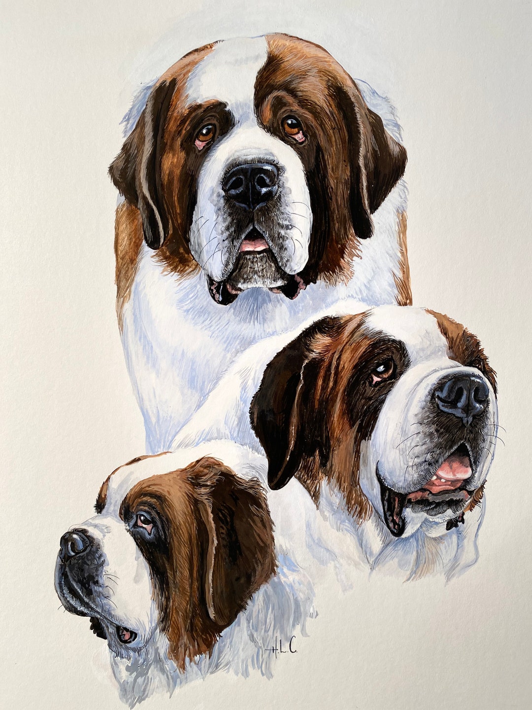 St. Bernard PNG File - Digital Download - Sublimation Image- Dog ...