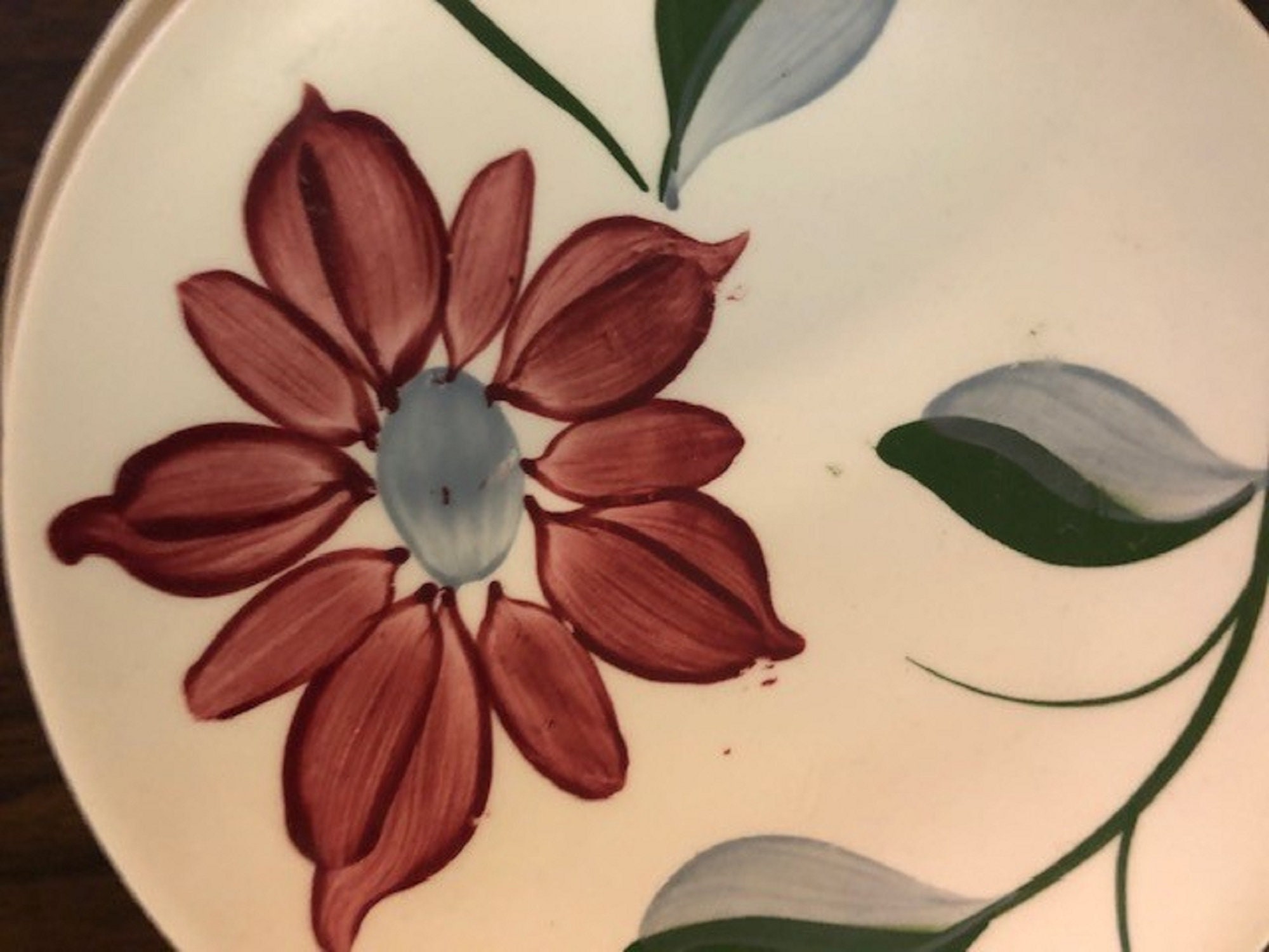 12 Pc. Vintage 'petal Point' Blue Ridge Southern - Etsy