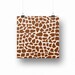 12 Animal Print Digital Paper Pack, Safari, Scrapbook, Leopard, Giraffe ...