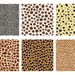 12 Animal Print Digital Paper Pack, Safari, Scrapbook, Leopard, Giraffe ...