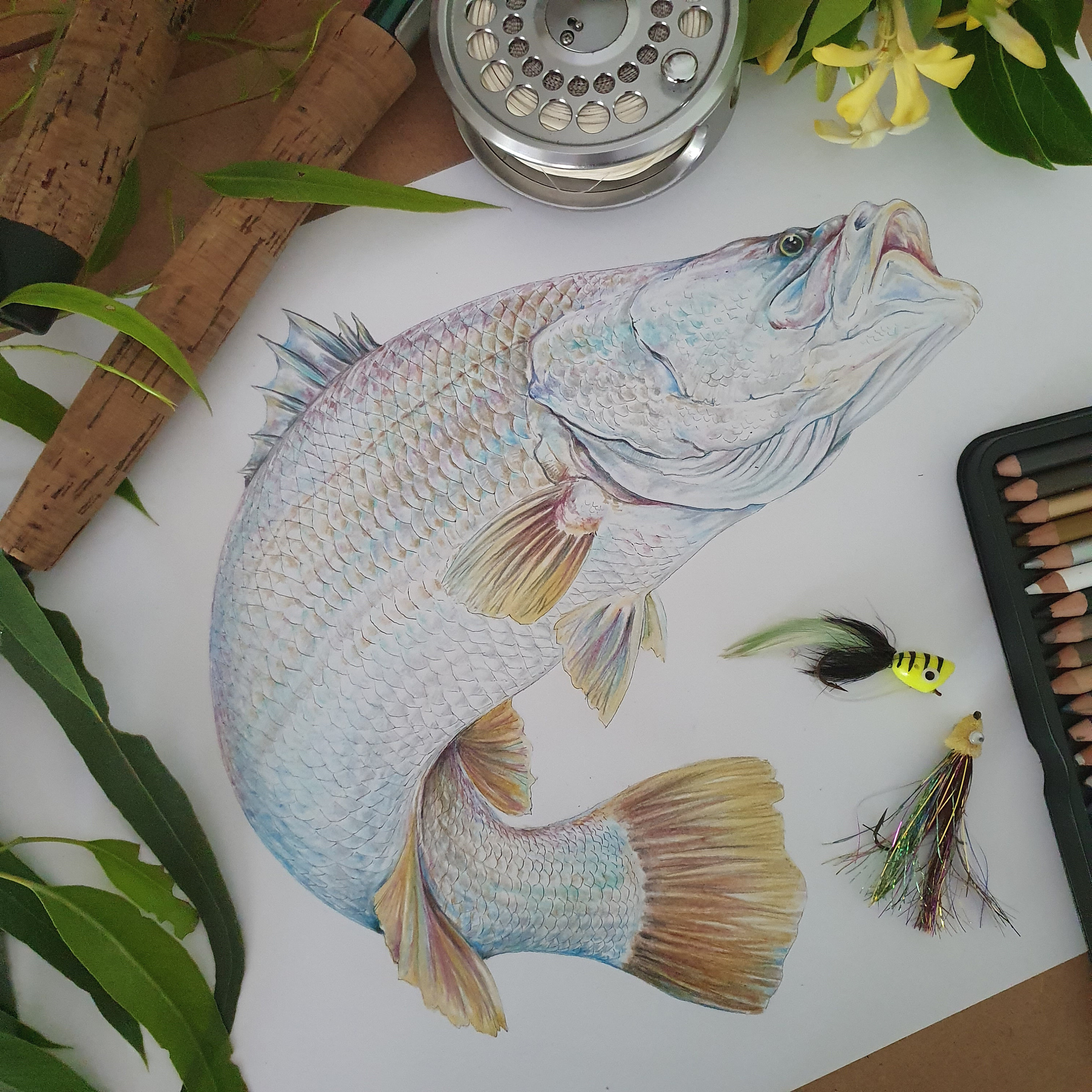 SRA3 Hand Embellished Signed Print of Jumping Barramundi Illustration ...