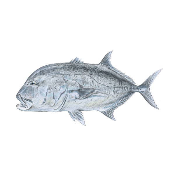 Giant Trevally Art - Etsy