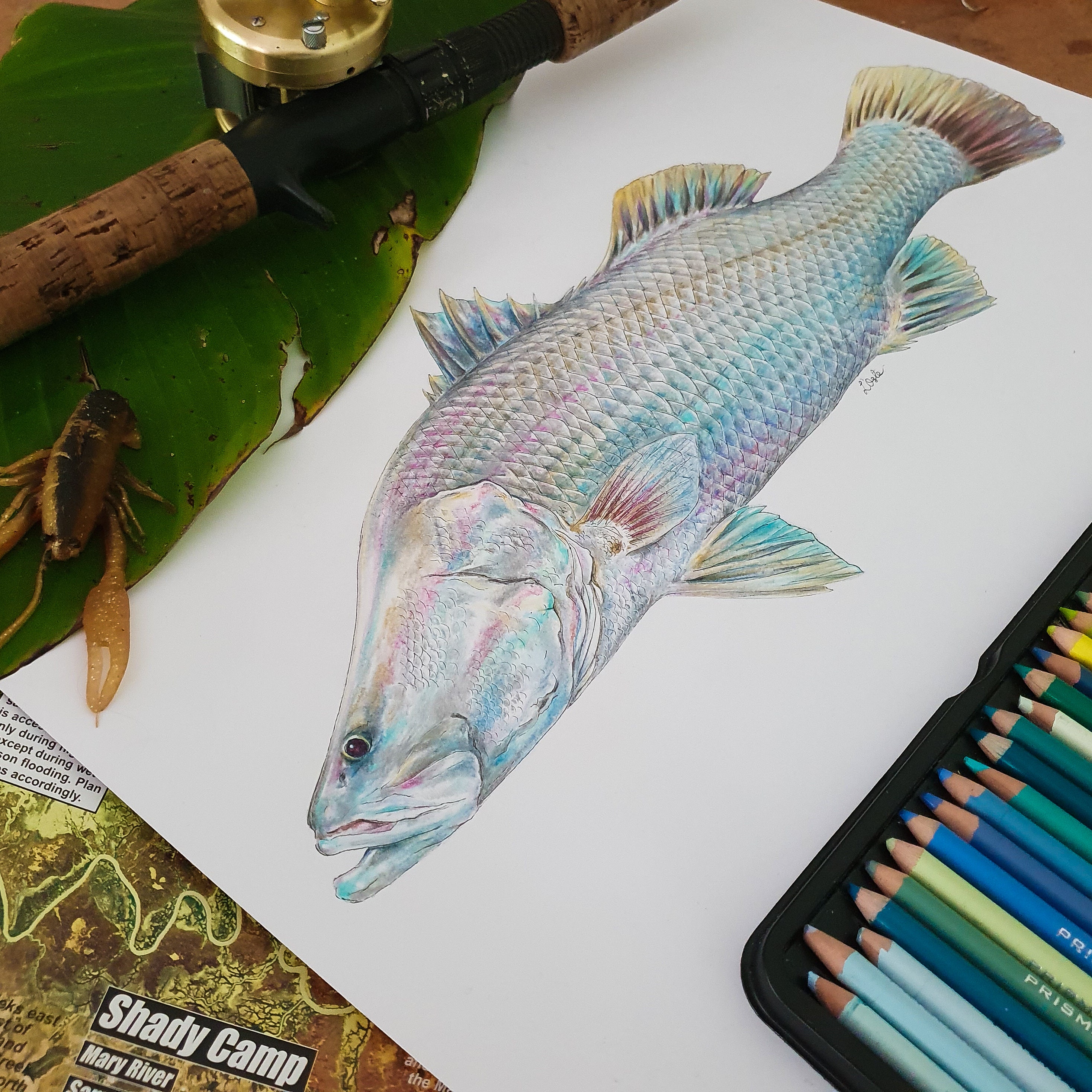SRA3 Hand Embellished Signed Print of Blue-tinged Barramundi ...