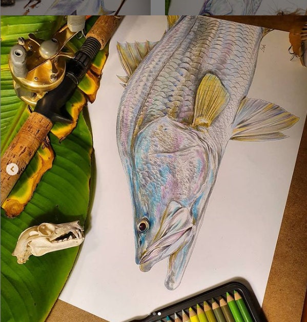 SRA3 Hand Embellished Art Print of Barramundi Head Profile Illustration ...