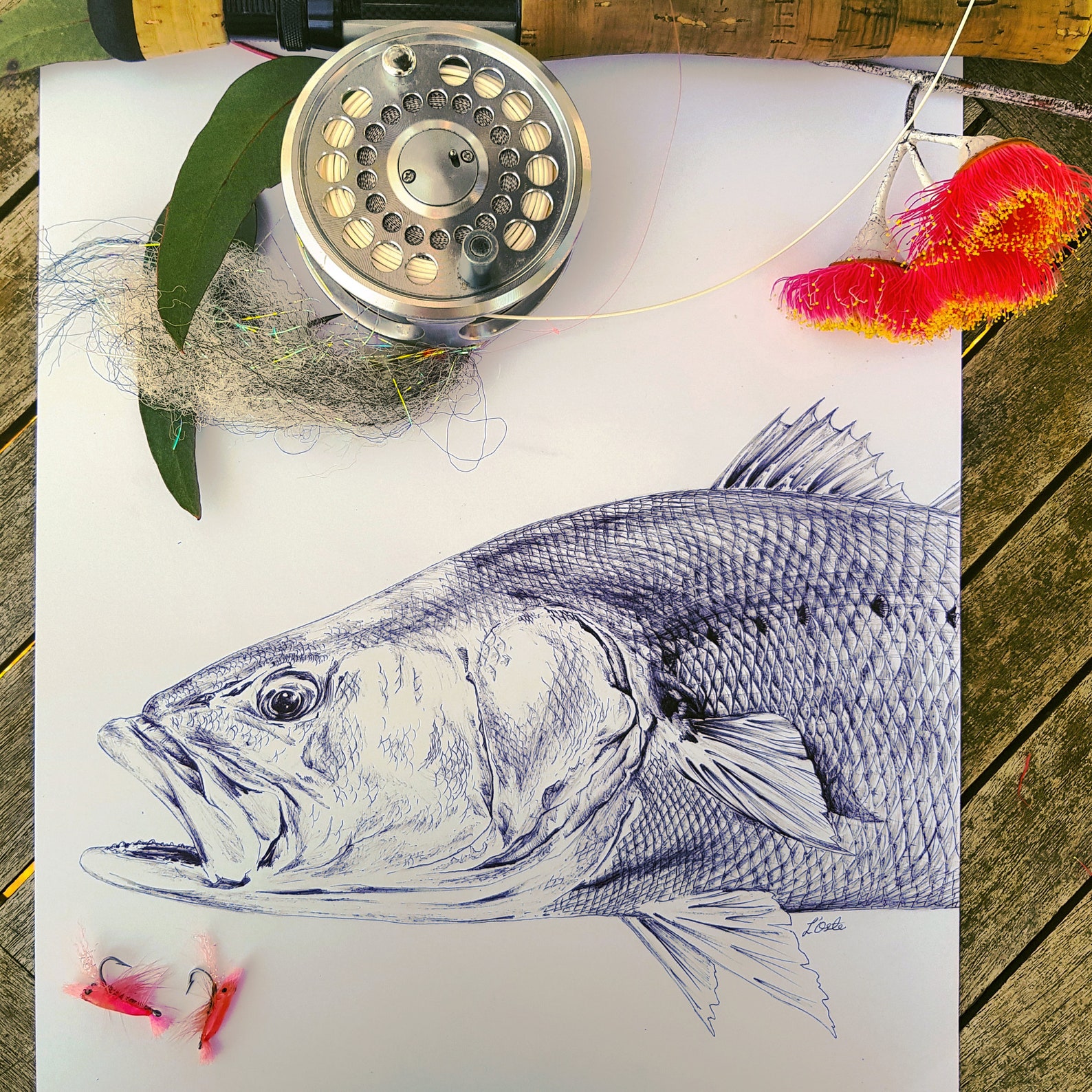 A3 Signed Print of Mulloway Head Black and White Illustration Jimloste ...