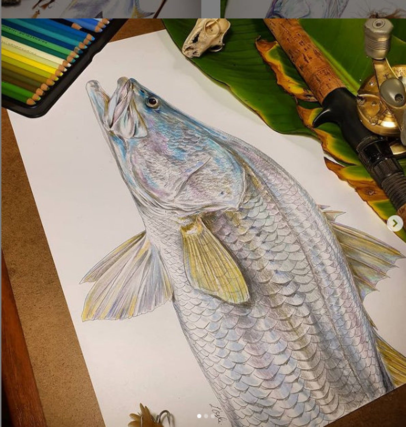 SRA3 Hand Embellished Art Print of Barramundi Head Profile Illustration ...