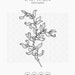 Mistletoe SVG Commercial License, Instant Digital Download, Christmas ...