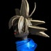 Foam Headpiece GOKU - Etsy