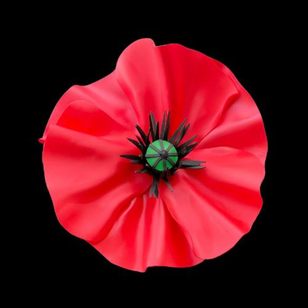 Wall / Ceiling Decoration RED POPPY - Etsy