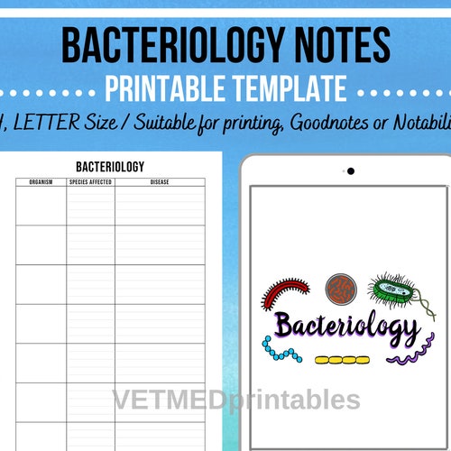 Anatomy Study Note Template for Veterinary Medical & Science - Etsy