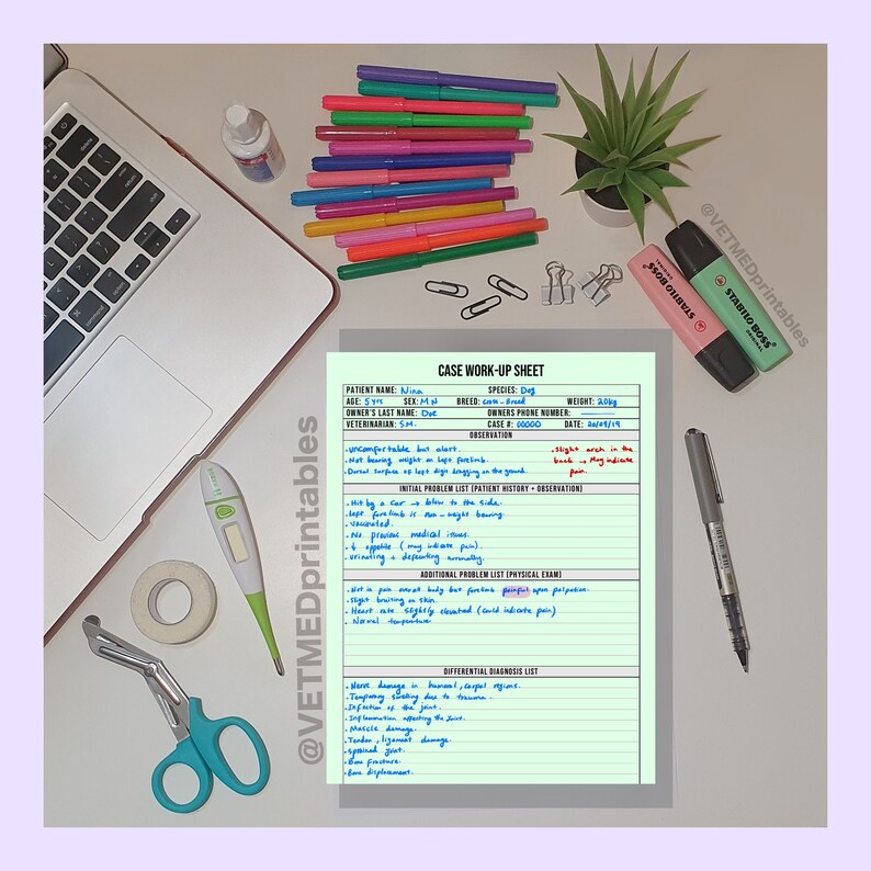 Veterinary Consultation Form & Case Work-up Sheets Vet Examination Note ...