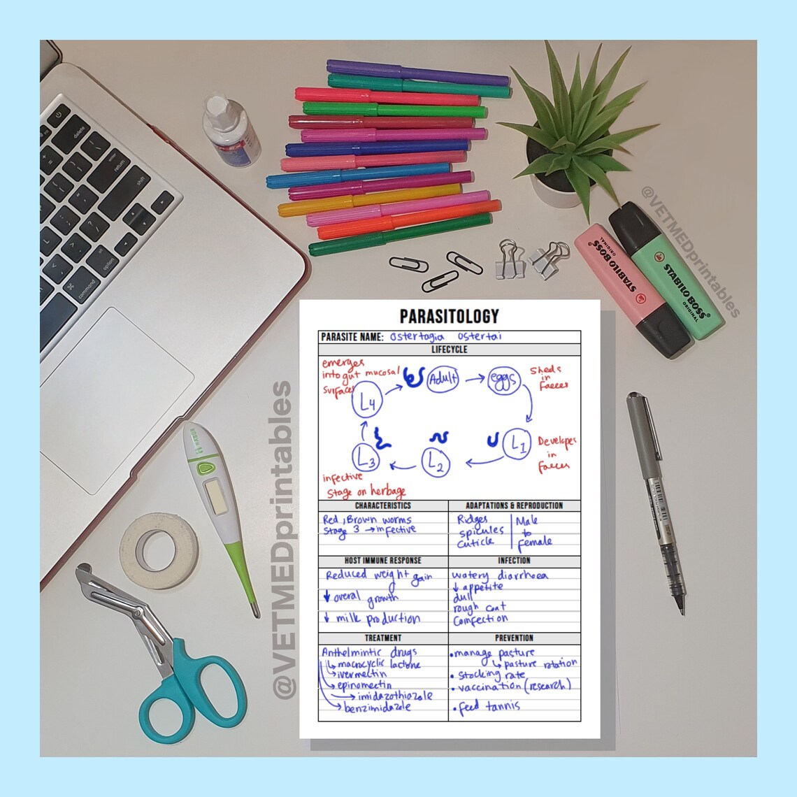 Parasitology Study Note Template for Veterinary, Medical & Science ...