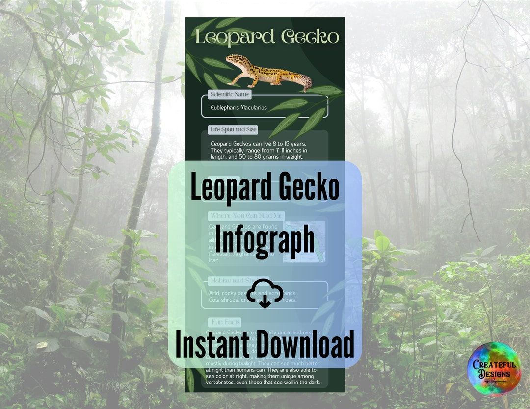 Leopard Gecko Infographic Printable - Etsy