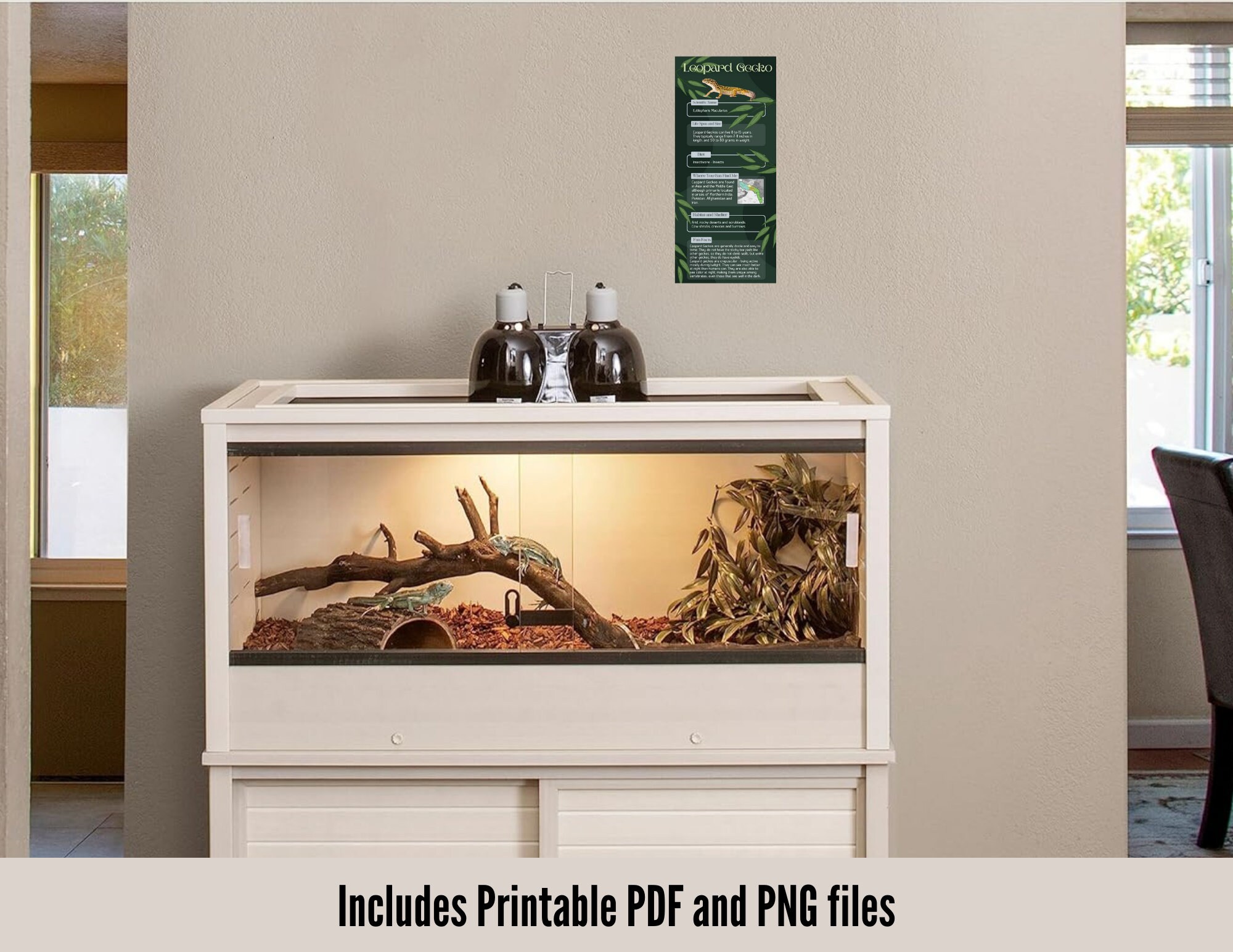 Leopard Gecko Infographic Printable - Etsy