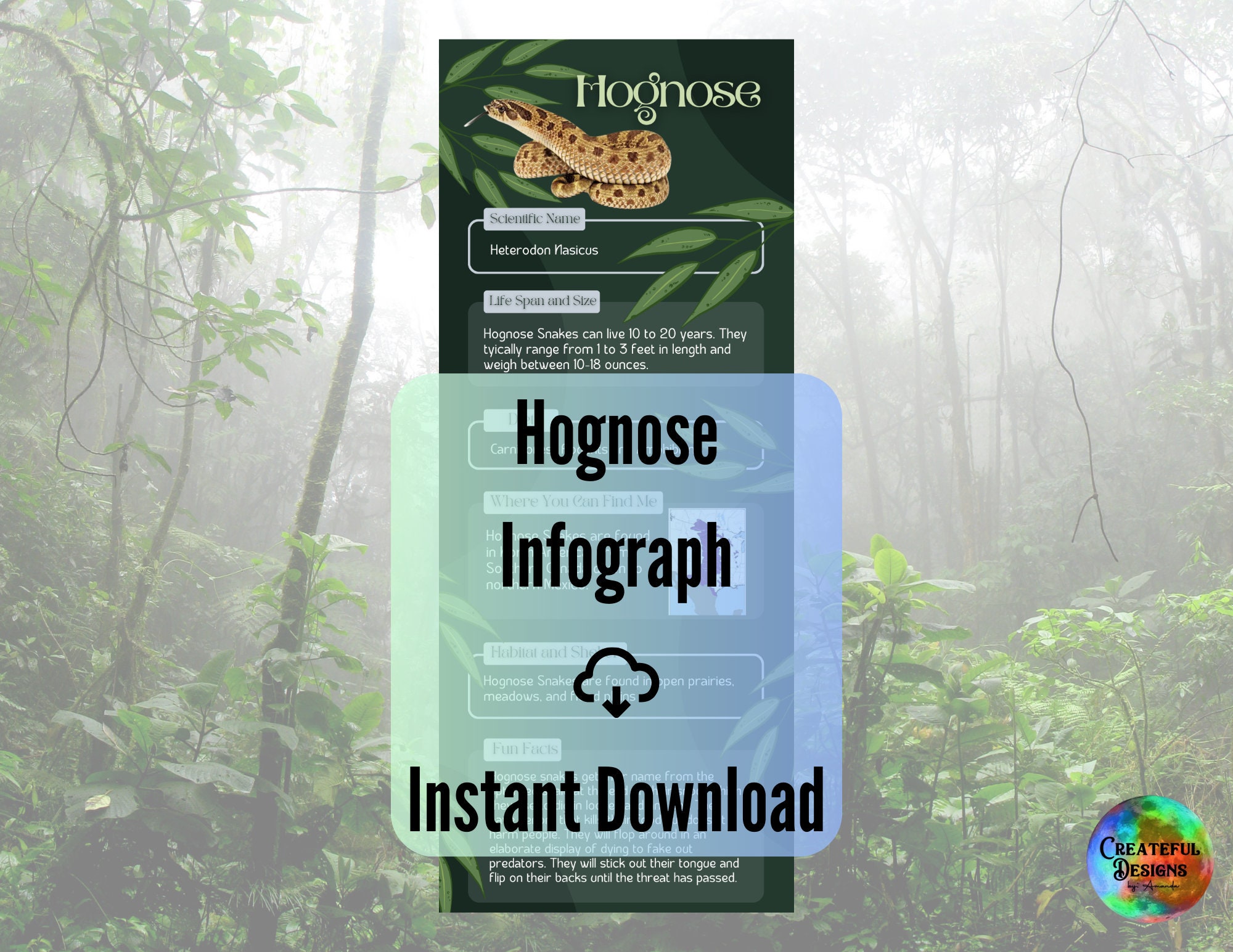 Hognose Snake Infographic Printable - Etsy
