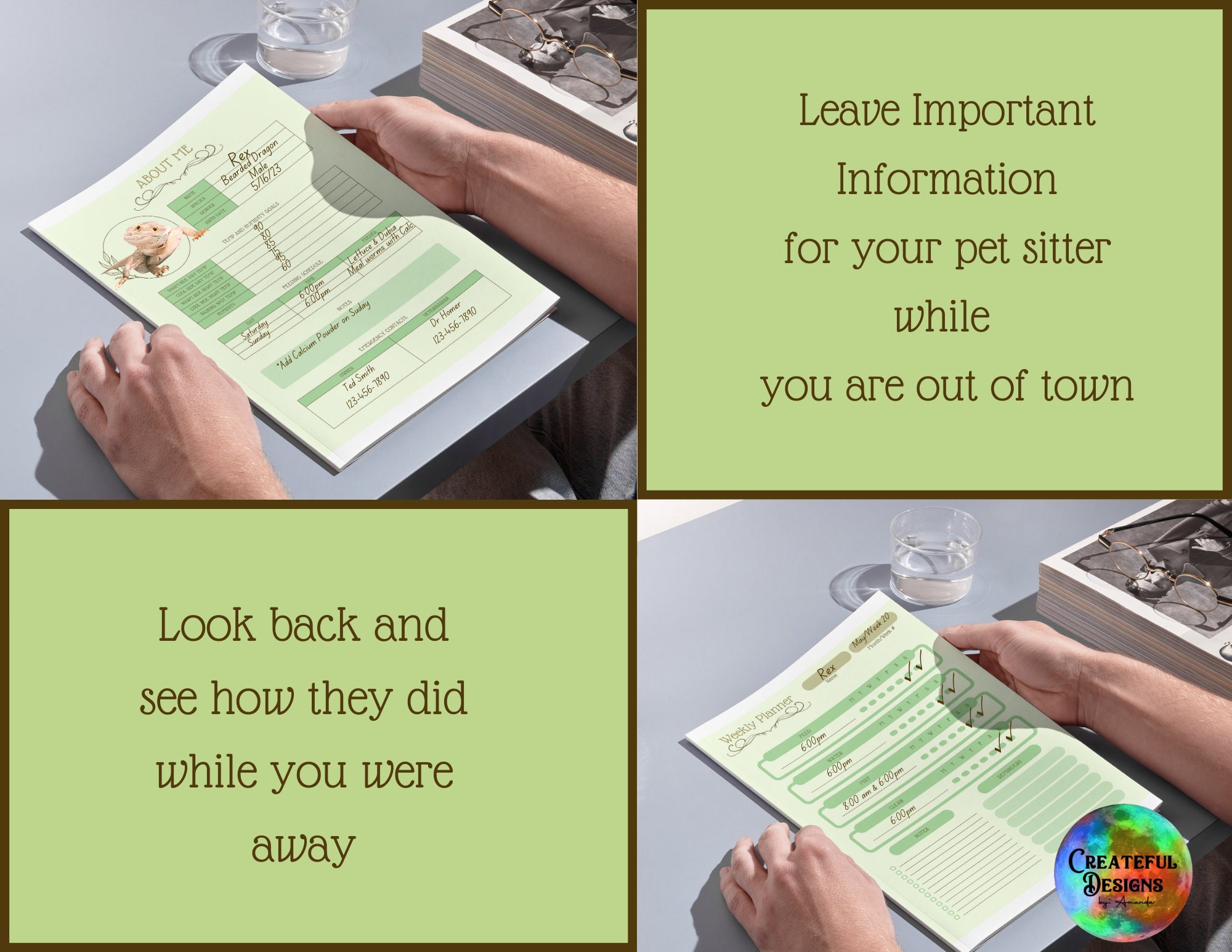 Reptile Care Journal- Log- Printable PDF - Boho - Etsy