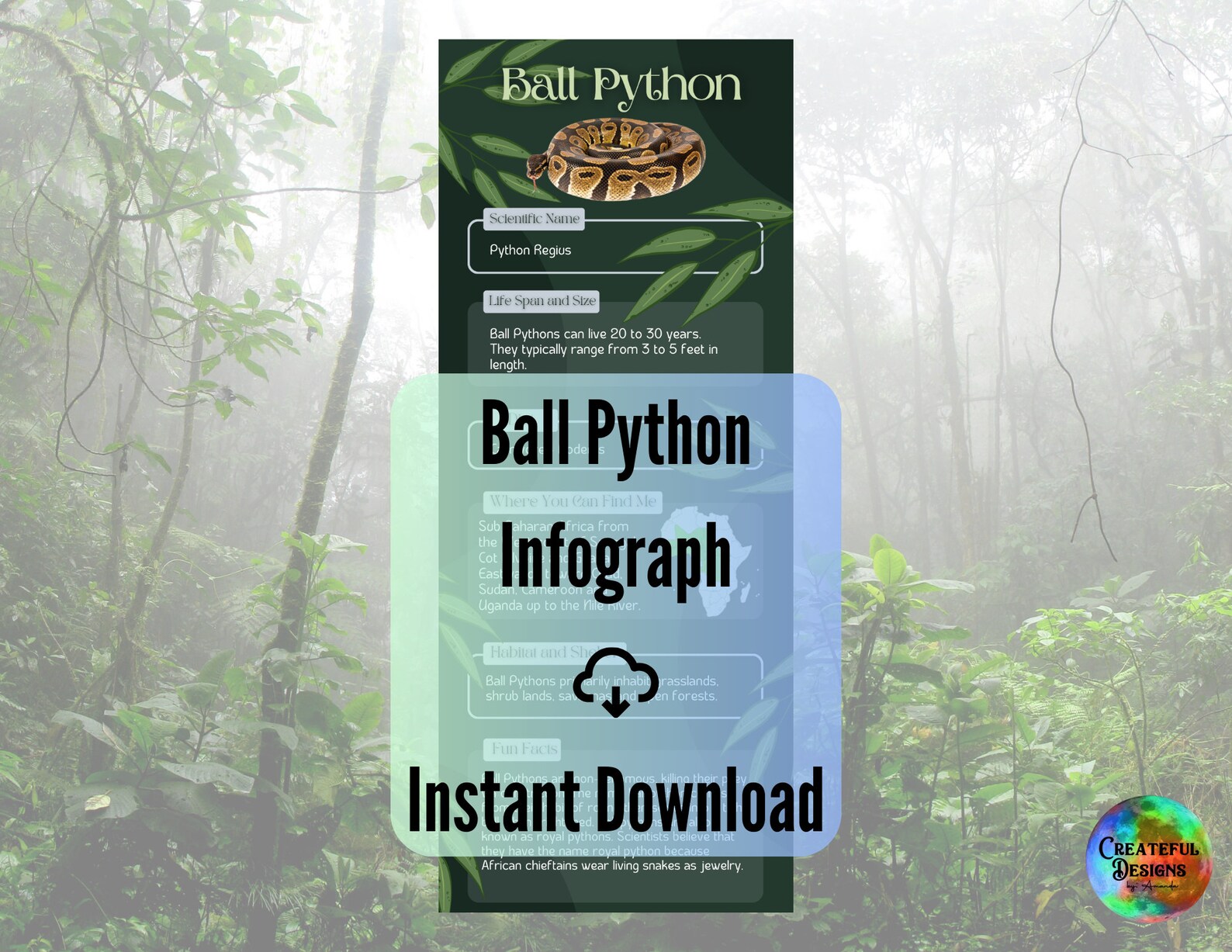 Ball Python Infographic Printable - Etsy