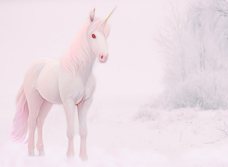 Snow Fairy / Angel Overlays HUGE CREATOR BUNDLE 15 Fairies - Etsy