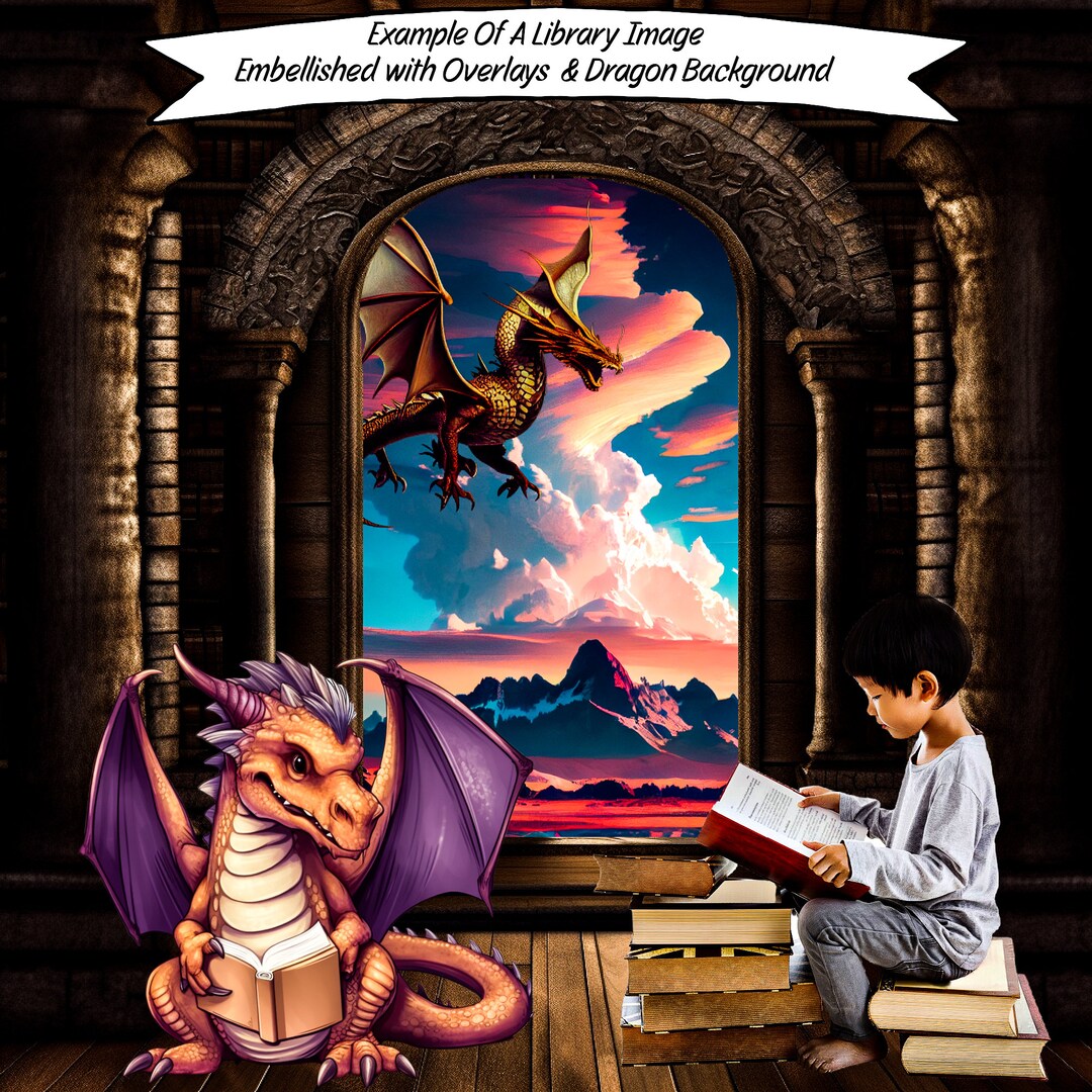 18 LIBRARY BACKGROUNDS BACKDROPS Fantasy Fairy Tale - Etsy