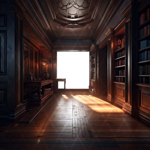 18 LIBRARY BACKGROUNDS BACKDROPS - Fantasy, Fairy Tale, Digital ...