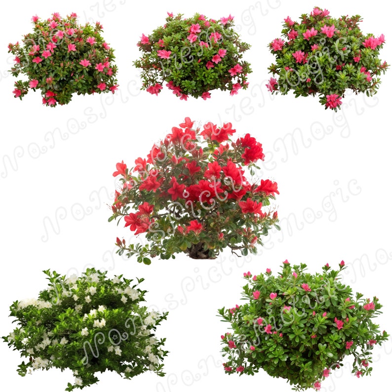 Huge BUNDLE of Overlay FLOWERS Template Composite Digital - Etsy