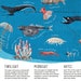 A2 Ocean Zones Poster - Etsy