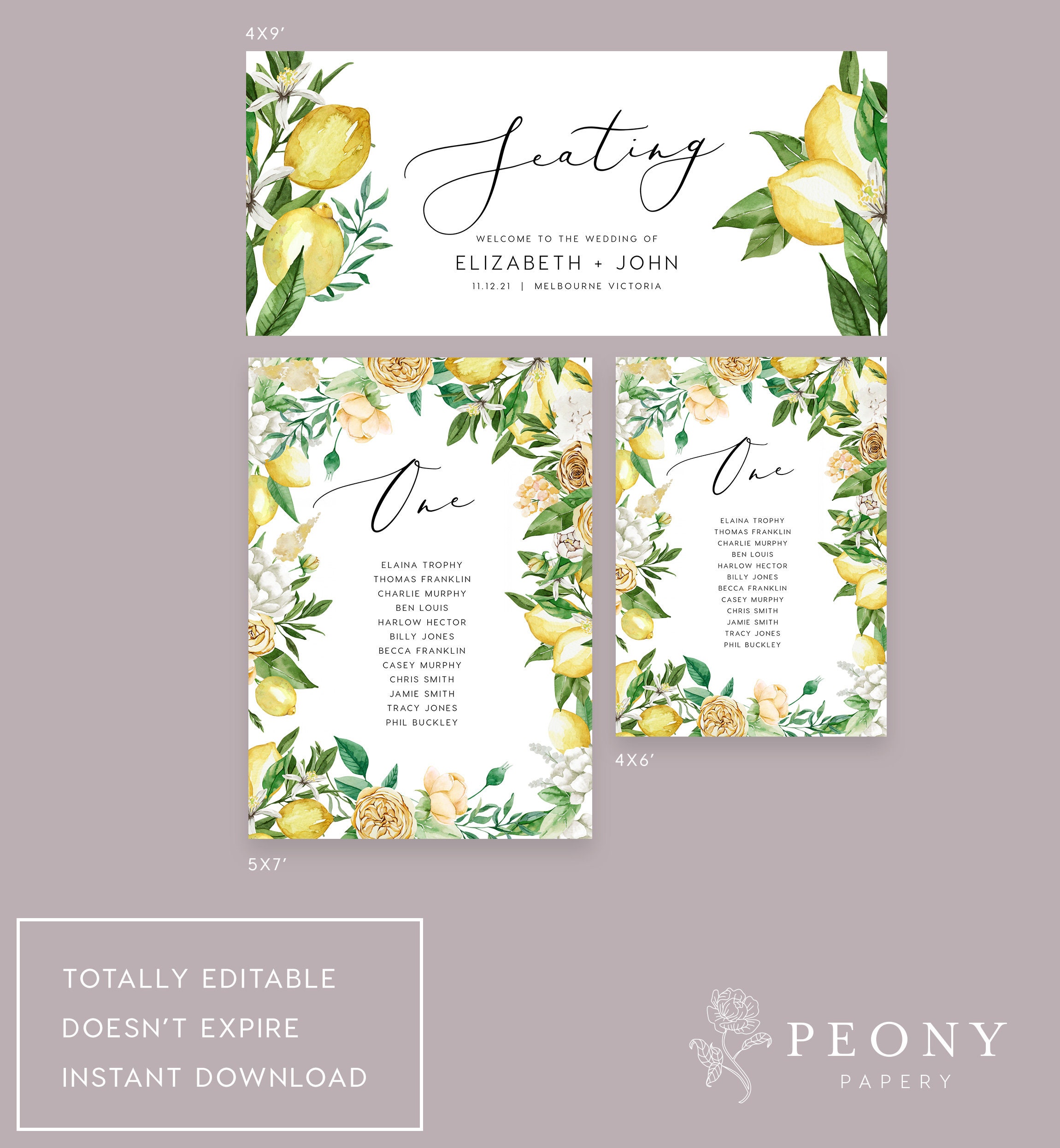 Baby Shower Seating Chart Small Cards INSTANT DOWNLOAD, Editable Pdf ...