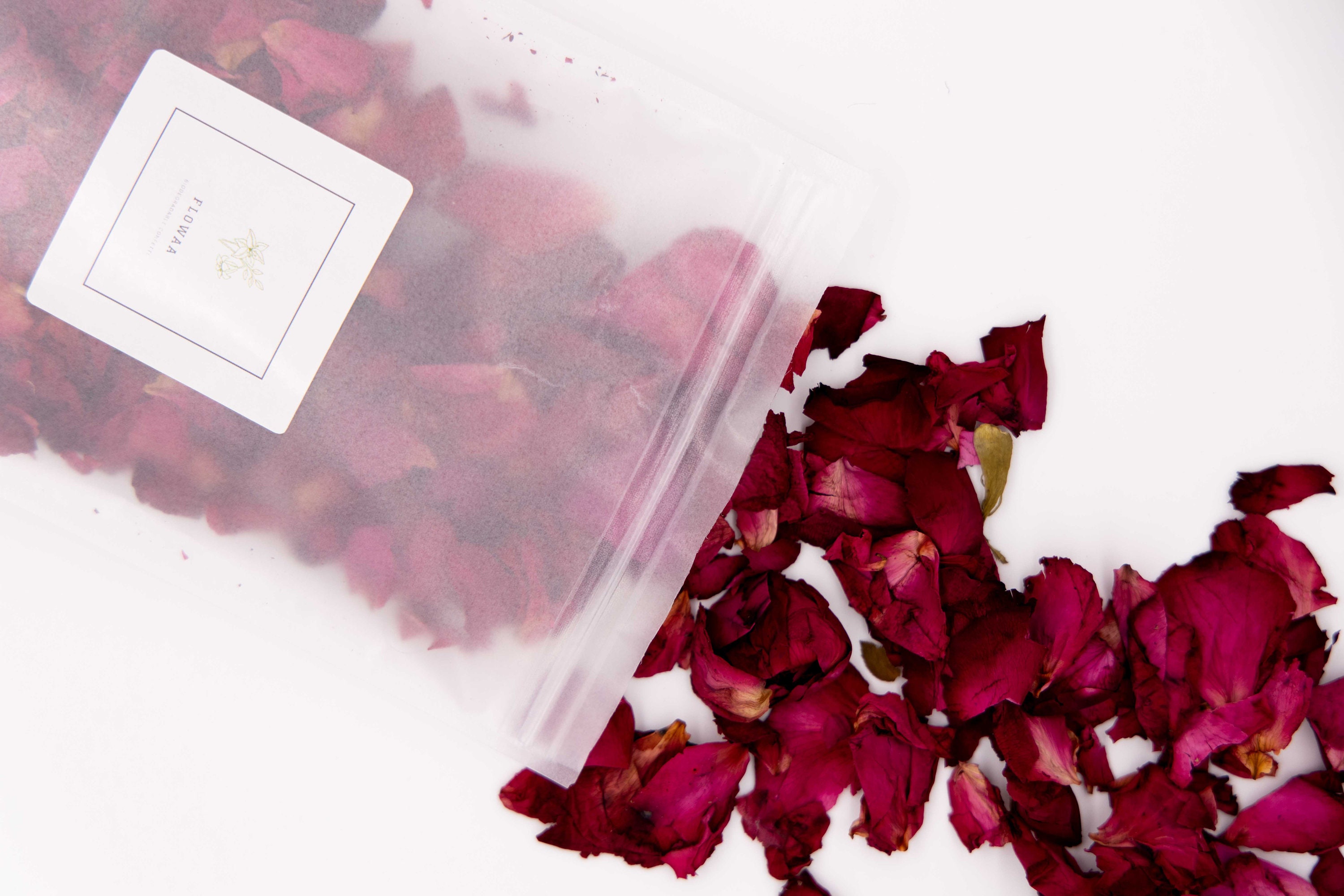 Natural Biodegradable Confetti - Etsy