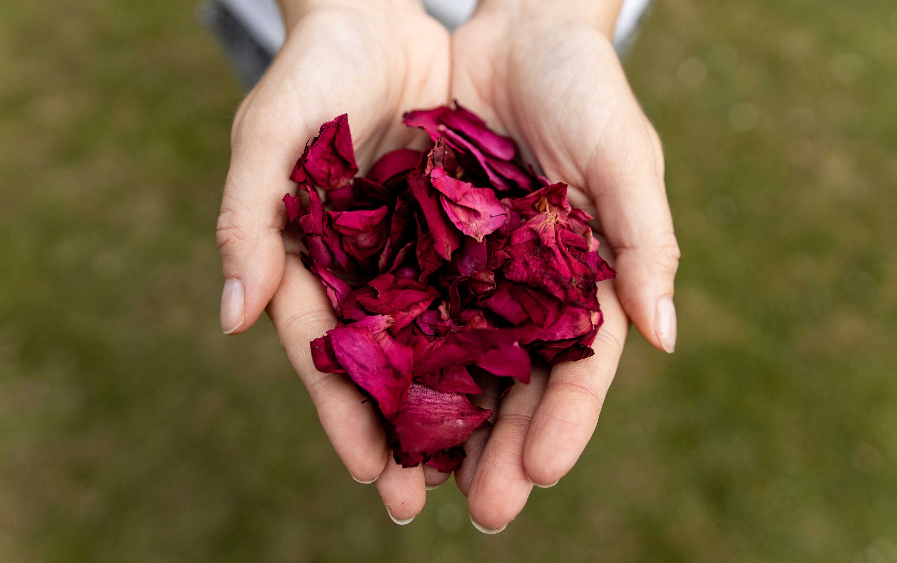 Natural Biodegradable Confetti - Etsy