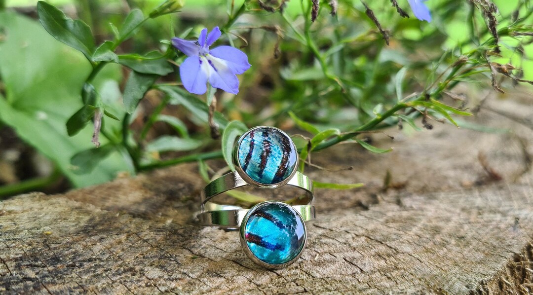 Cepheuptychia Cephus Butterfly Double Tray Ring, Butterfly Wing, Resin ...
