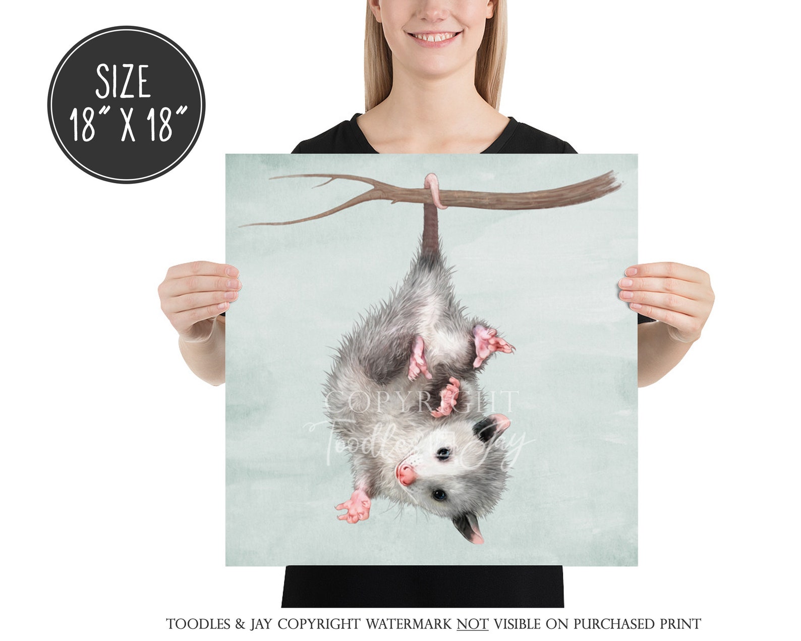 Cute Possum Art Print • Possum Hanging From Branch Painting • Cute ...