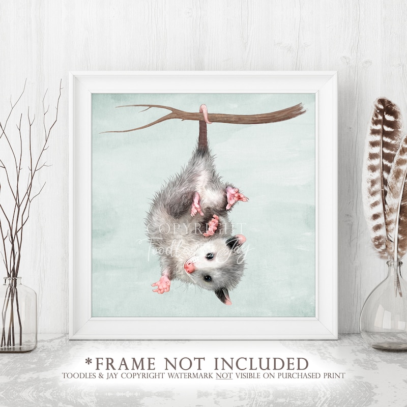 Possum - Etsy